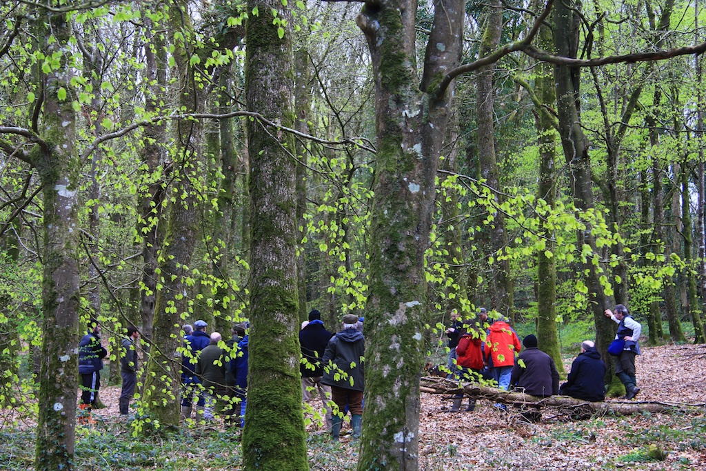 Field notes from Pro Silva Open forest day at AFI - Coillte site, Rahin ...