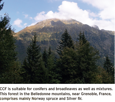 Continuous cover forestry (CCF) – alternative forest management - Pro ...